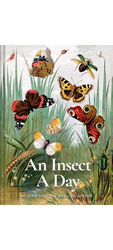 Insect A Day - Naturbutiken