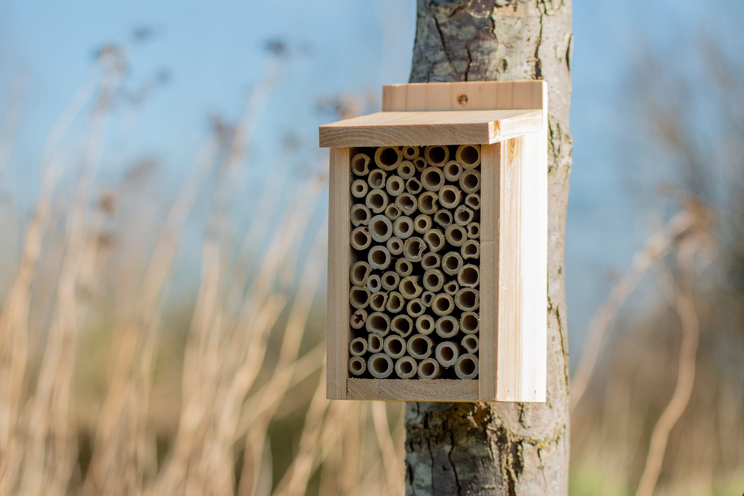Wooden Insect Hotel - Naturbutiken
