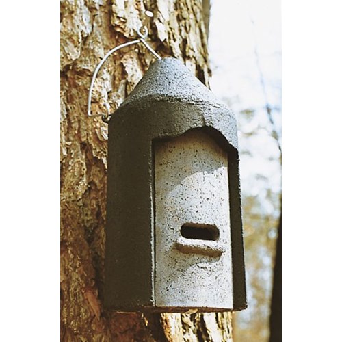 Bat Boxes 2F - Naturbutiken
