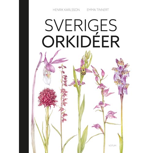 Sveriges orkidéer - Naturbutiken