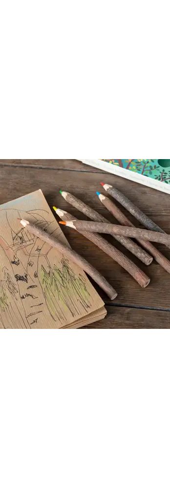Twig colouring pencils (set of 6) - Naturbutiken