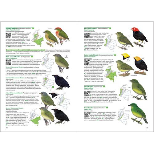 Birds of Colombia - Naturbutiken