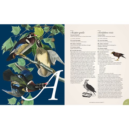Complete Language of Birds - Naturbutiken