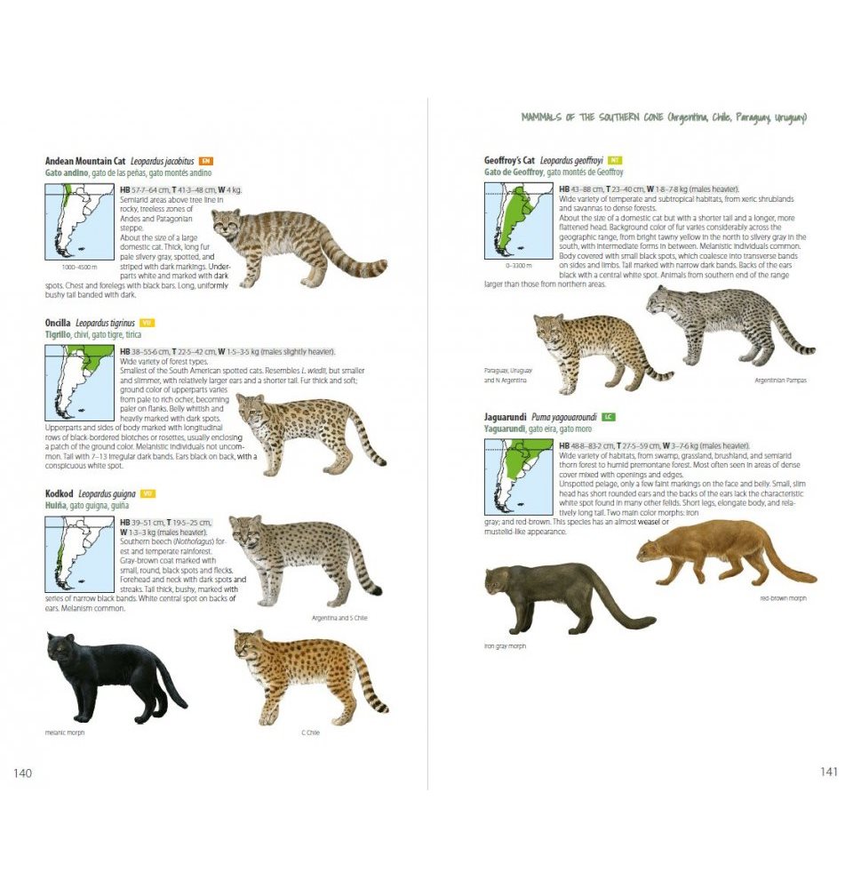 Mammals of the Southern Cone - Naturbutiken