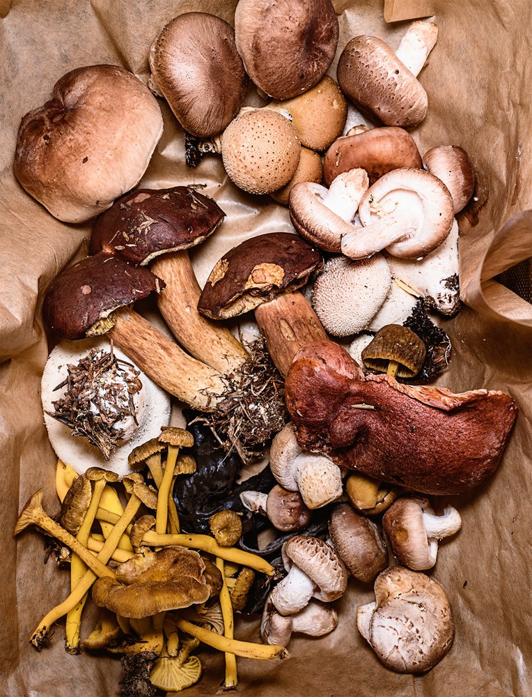 Vildplockad svamp - Naturbutiken