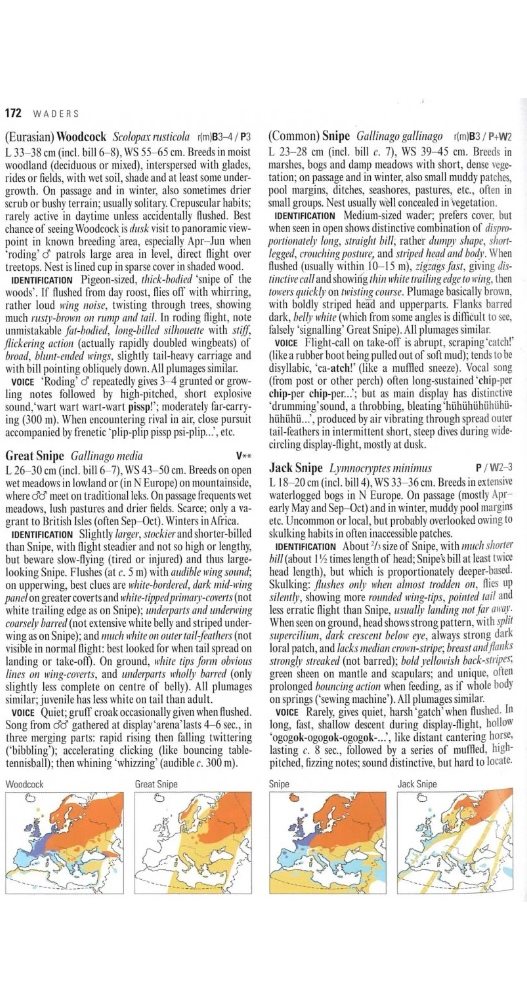 Collins Bird Guide - Naturbutiken