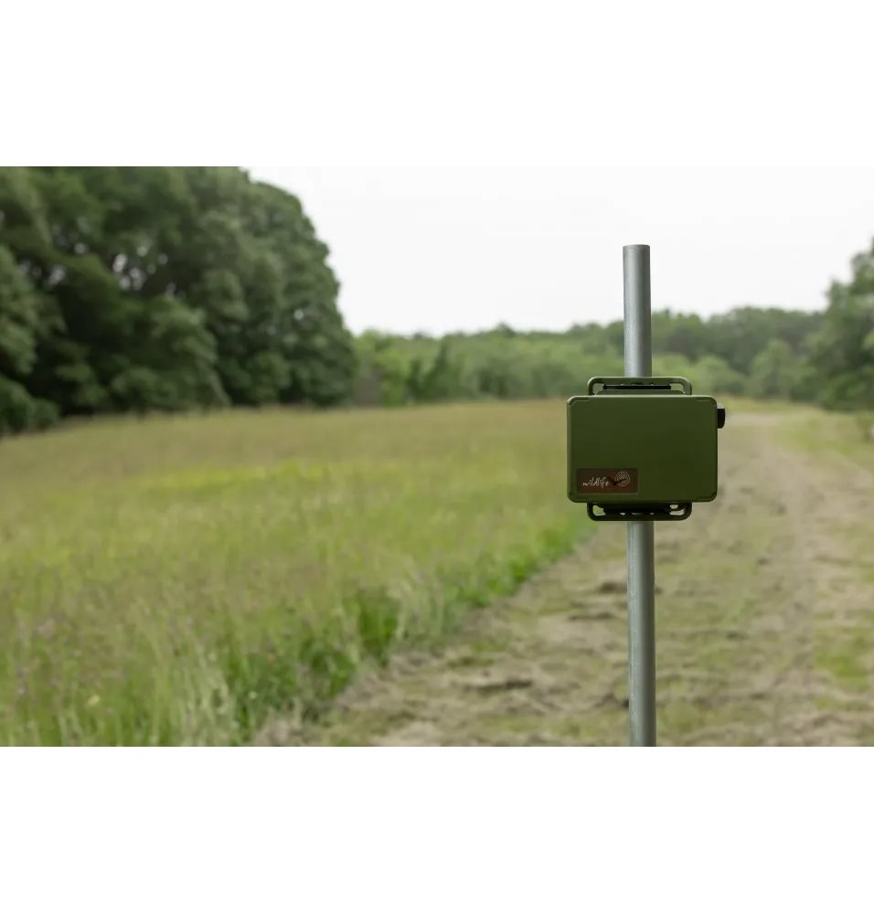 Song Meter Mini bat ultrasonic recorder - Naturbutiken