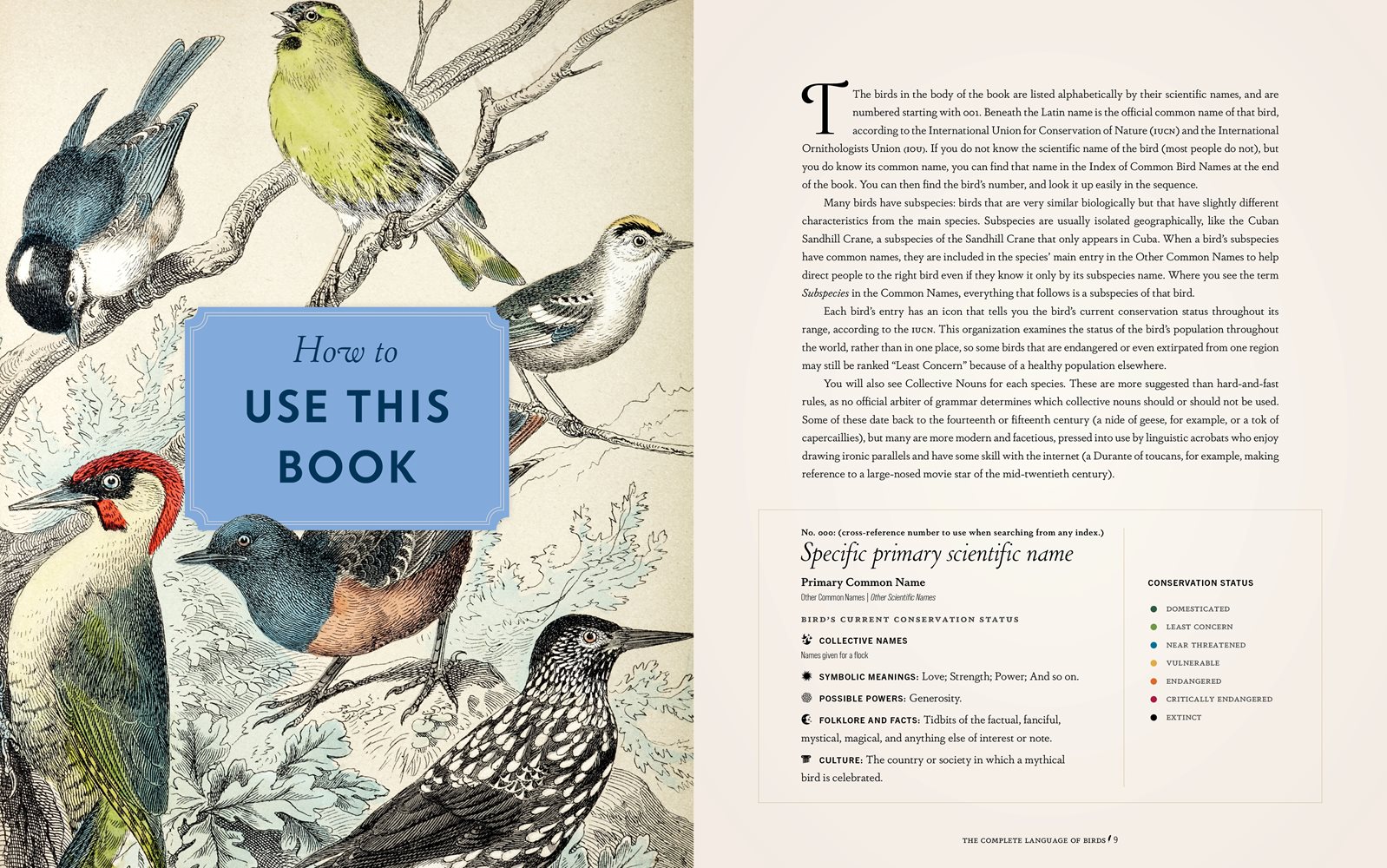 Complete Language of Birds - Naturbutiken