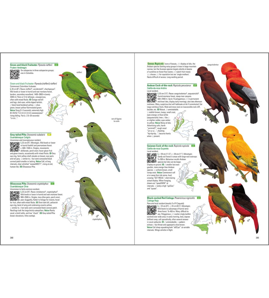 Birds of Colombia - Naturbutiken