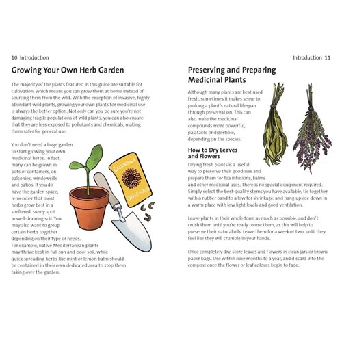 Bloomsbury Concise Medicinal Plants Guide - Naturbutiken