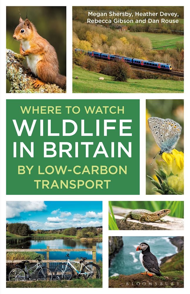 Where to Watch Wildlife in Britain by Low-Carbon Transport - Naturbutiken