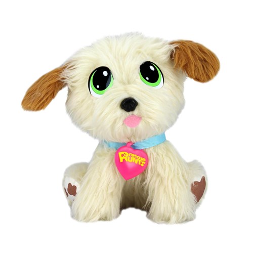 Rescue Runts Golden Retriever - Simbadusa