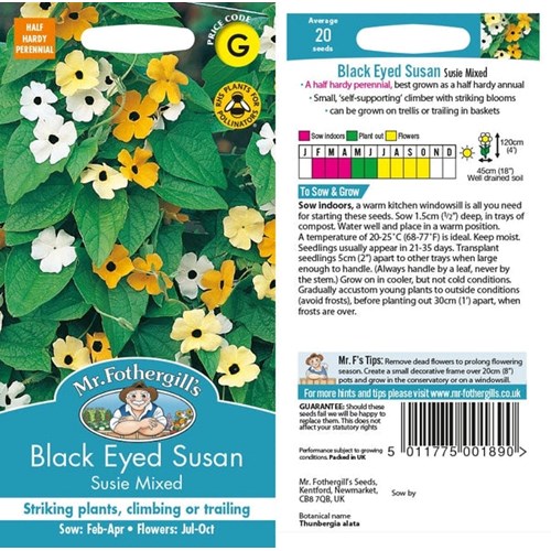 Svartöga, Susie mix - Simbadusa