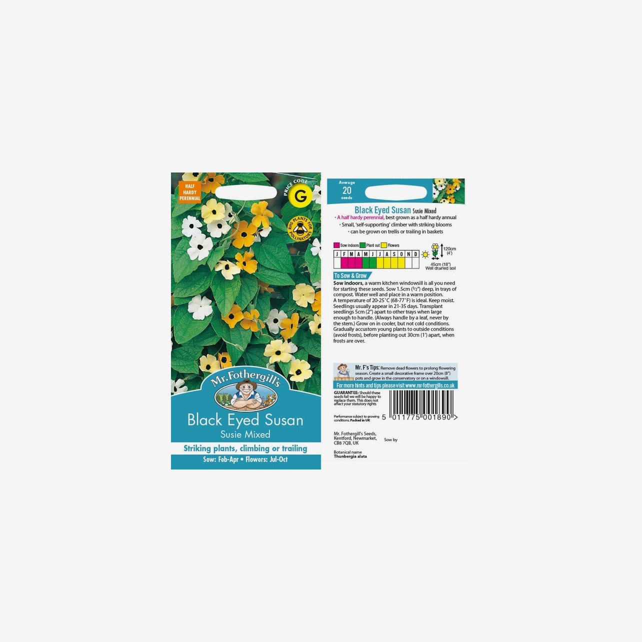 Svartöga, Susie mix - Simbadusa